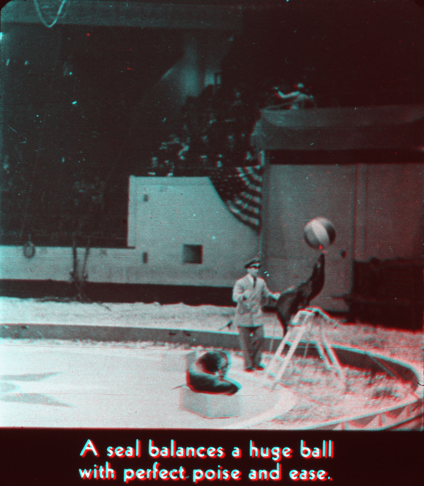 Series: Circus and Sideshow, 1935 | Brooklyn Stereography