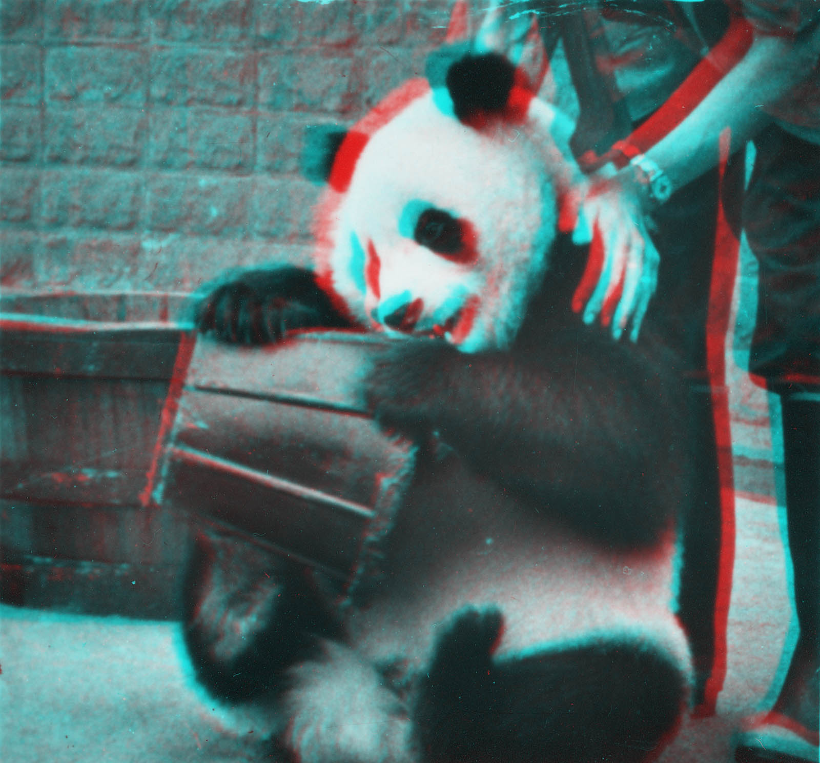 VistaScreen's "Chi-Chi the Giant Panda": Why does this even exist ...