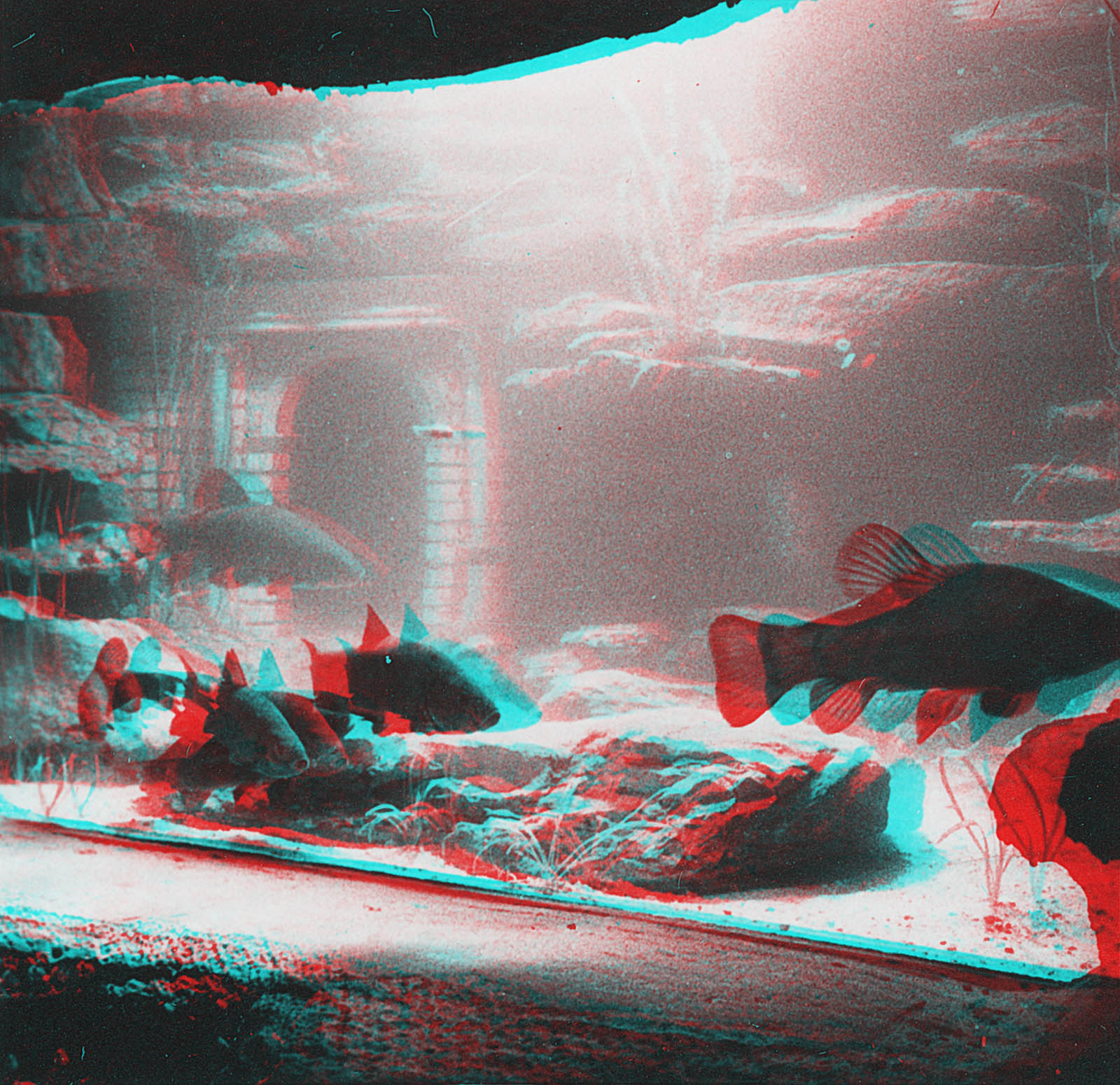 The Blue Grotto Aquarium at Eastbourne Redoubt | Brooklyn Stereography