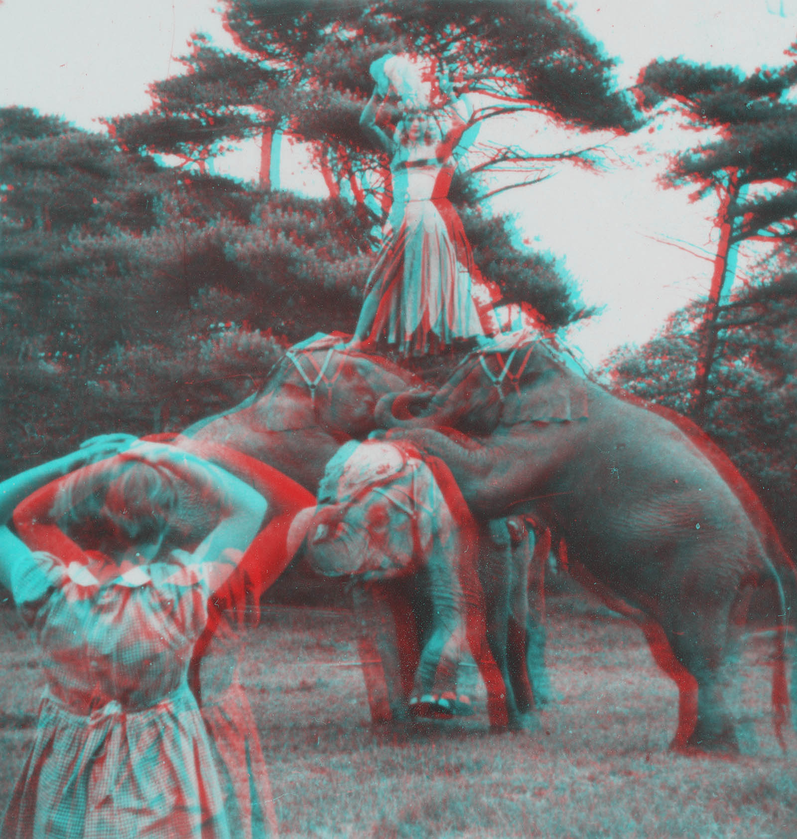 Anaglyph Gallery 9 | Brooklyn Stereography